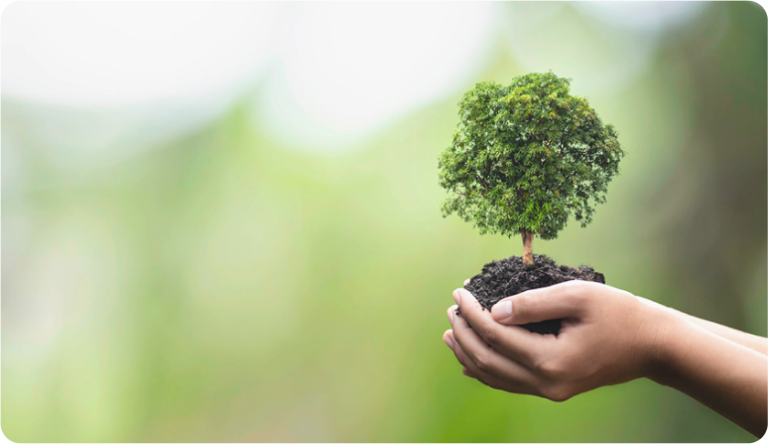 About – Phytologic